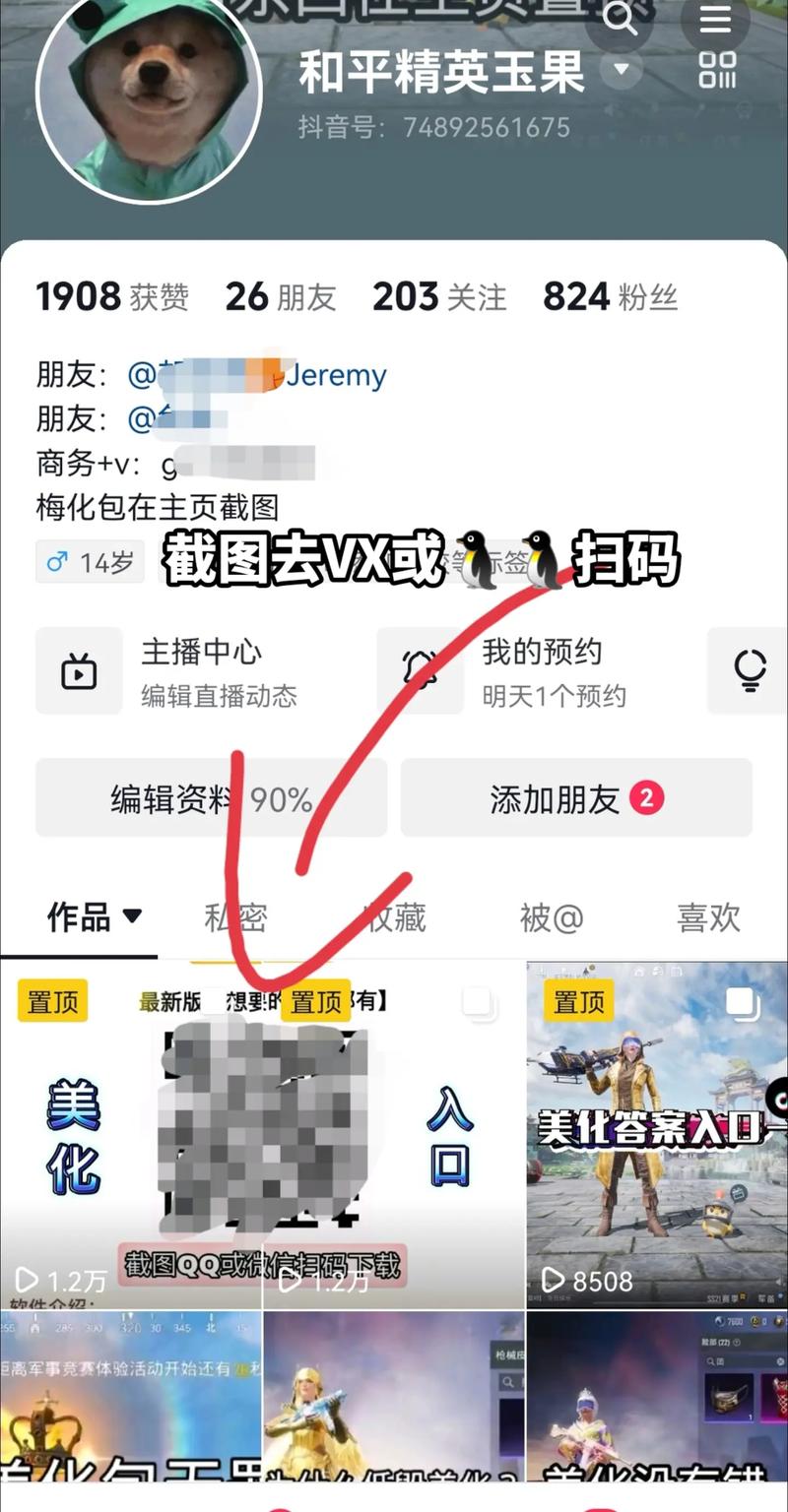 美化包永久免费版不封号