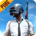 PUBGMObile体验服手游下载图标