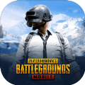 PUBG国际服手游(PUBG MOBILE)官网版下载安装地铁逃生图标