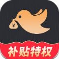 线报鸟app下载图标