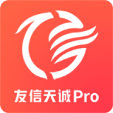 友信天诚pro软件下载图标