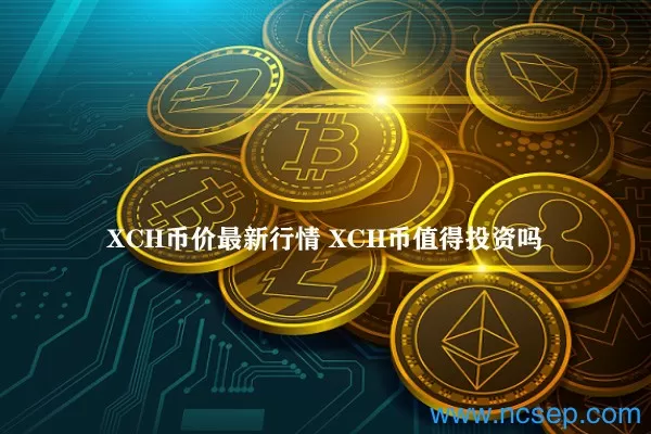 Abraxas Capital 1小时前向 Bybit 存入 1300 万 USDC图标