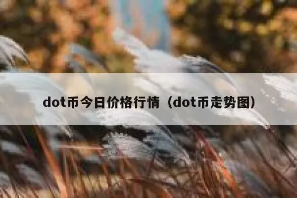 某在MSTR上获得20倍回报的投资者因签署钓鱼交易损失近35万美元