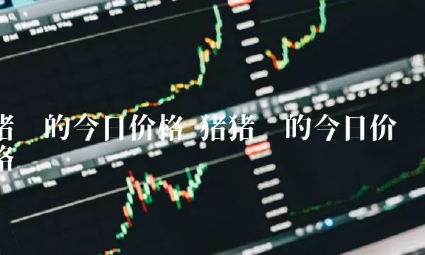 BNB突破590美元图标