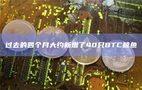 Abraxas Capital 1小时前向 Bybit 存入 1300 万 USDC图标