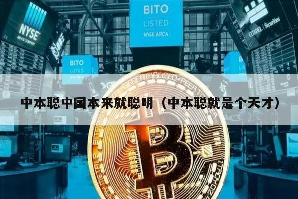 wbid官网图标