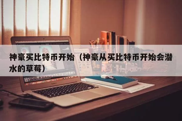 索尼 Layer2 项目 Soneium 公布孵化计划获胜项目名单图标