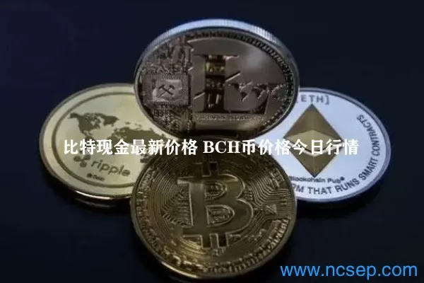 BNB突破590美元图标