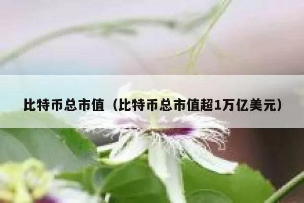 分析：孙宇晨可申领约398万枚PUFFER空投，约143万美元图标