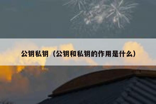 Shib：原定于11月9日举行的ShibaCon将被推迟图标