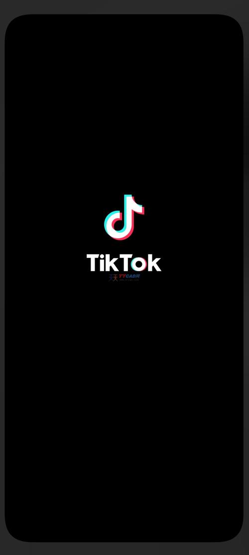 tiktok国际版下载安卓图标