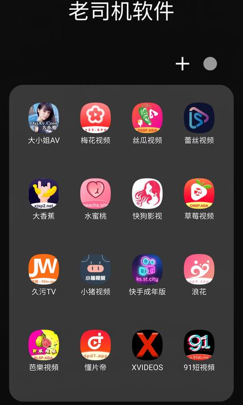 老司机软件库APP最新版图标