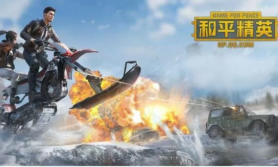 Pubgtool2021最新版