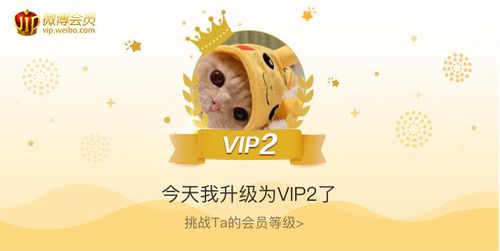 菠萝包vip免登录版