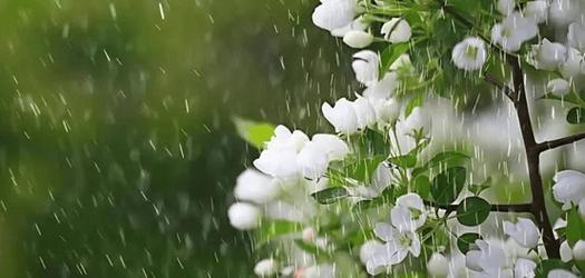 春雨天气图标