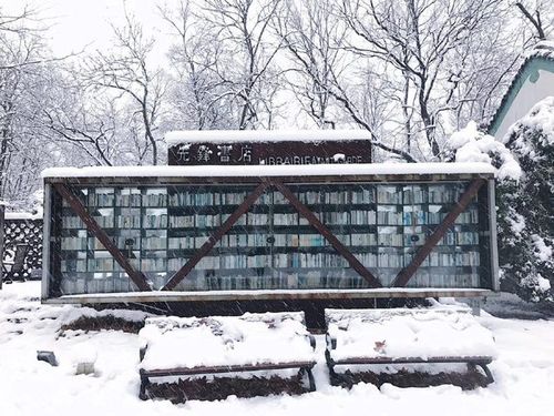 冰雪书院小说图标