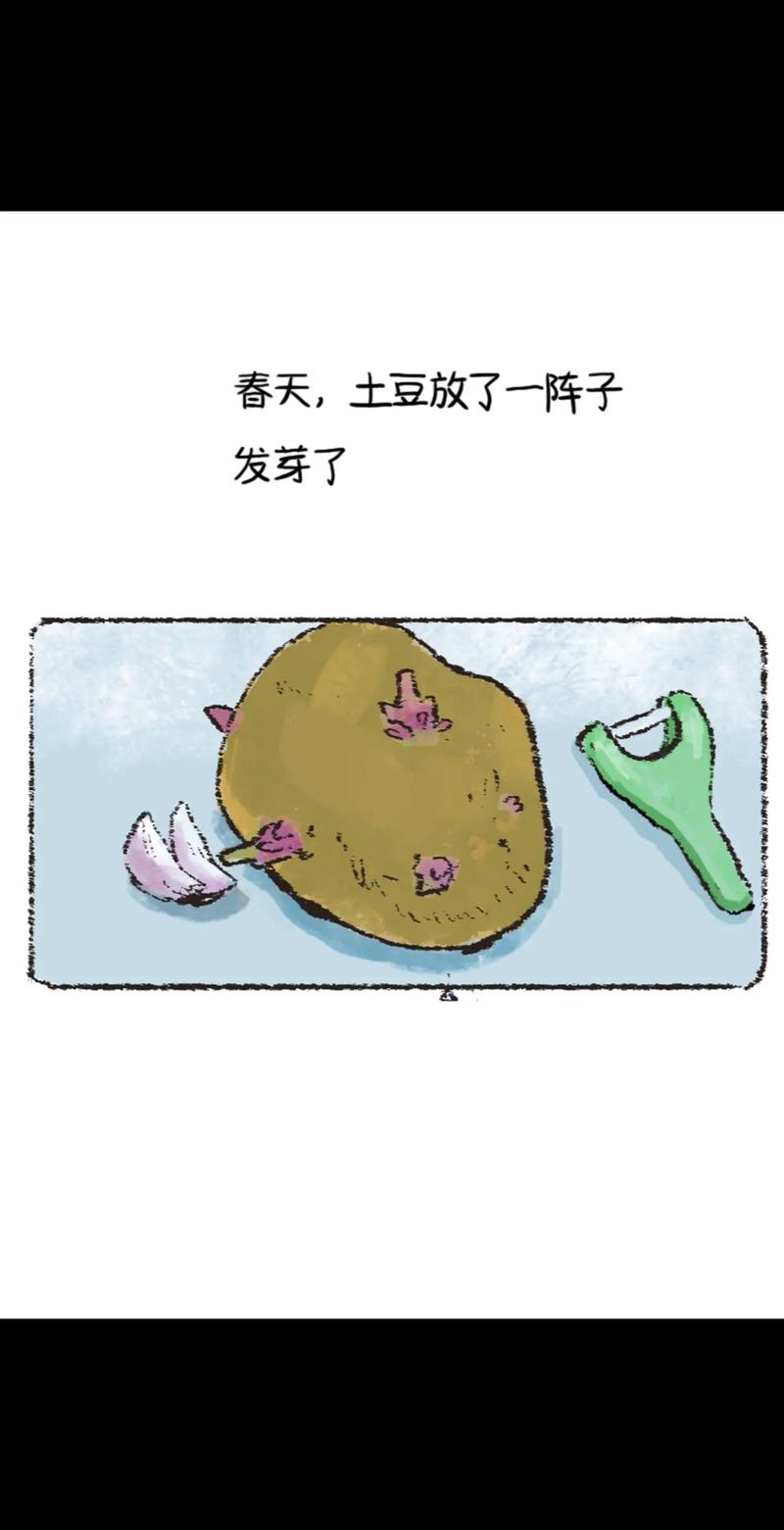 土豆漫画网软件图标