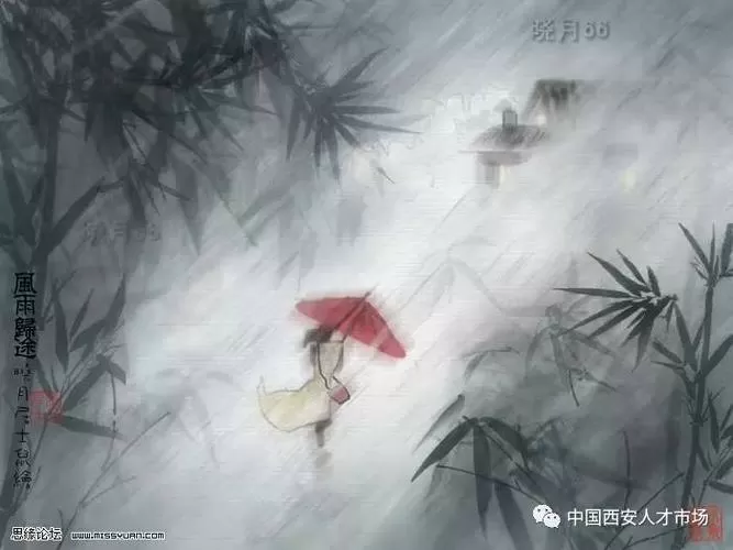 风雨小说网免费版