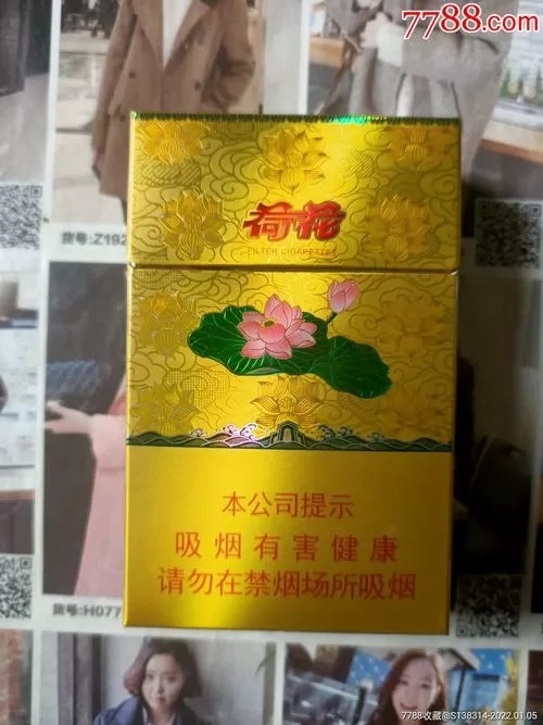 荷花赚