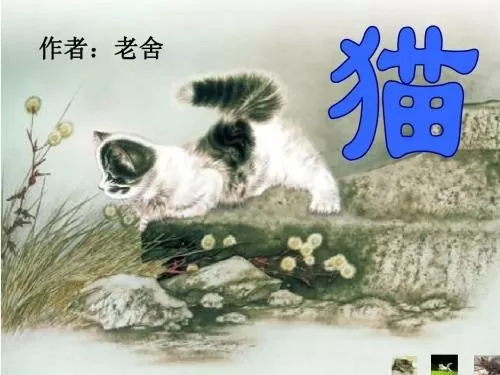 小猫听书免费小说v2.3.1