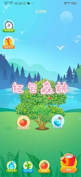 红包先森手机版app