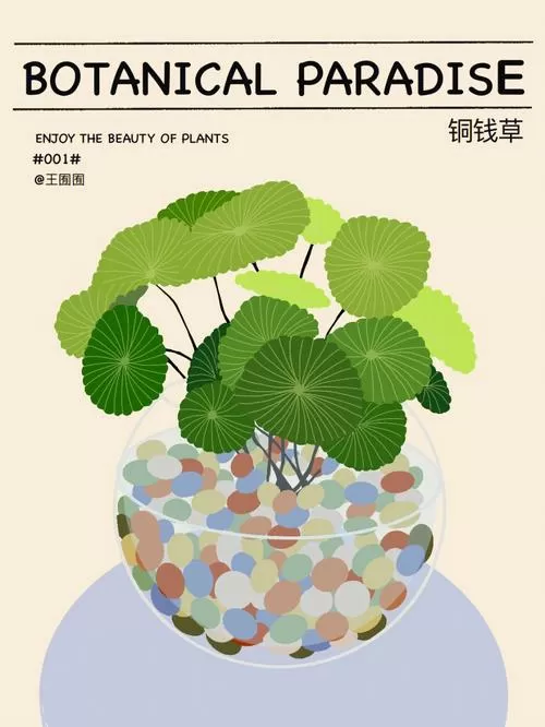 植物乐园能提现吗