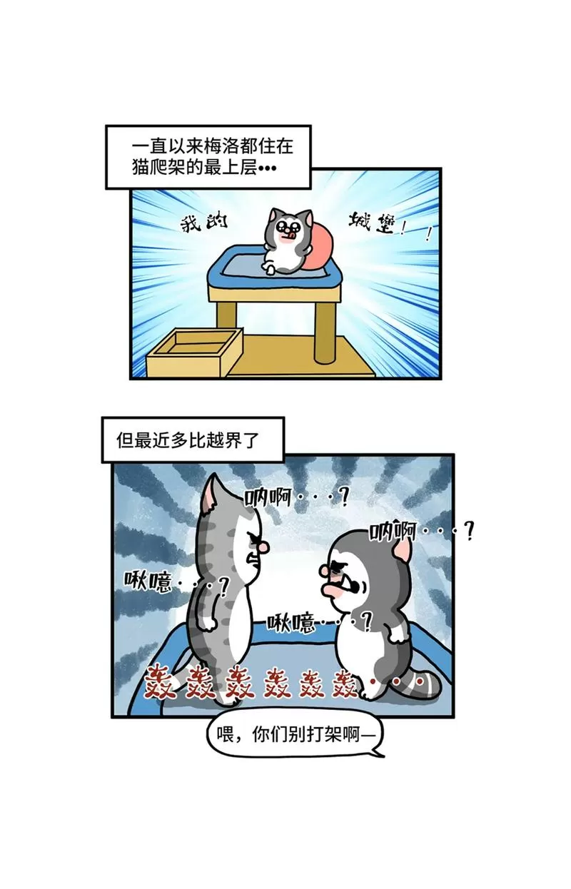 酱铺漫画