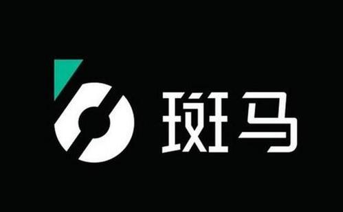 斑马网络技术有限公司