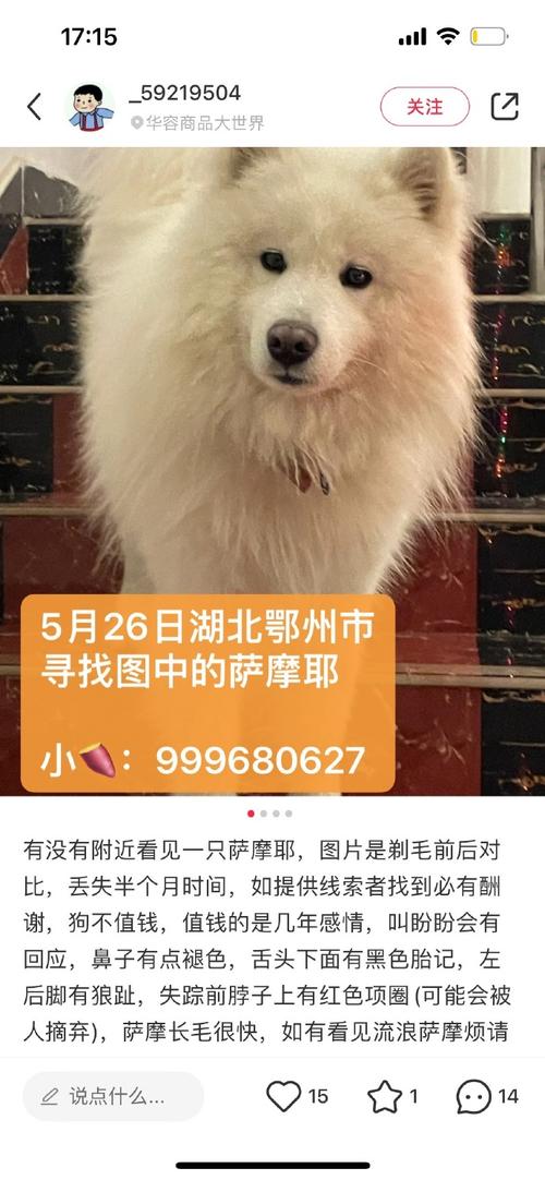 信息狗狗图标