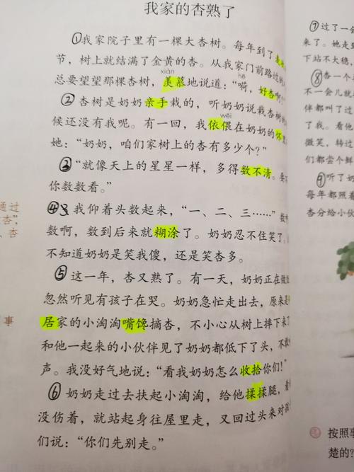 杏子阅读答案图标