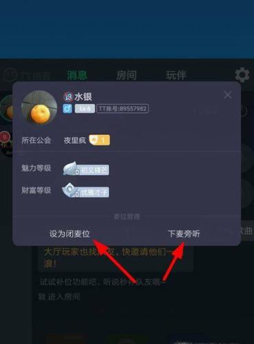 tt语音开黑软件app