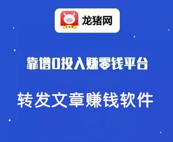 龙猪网络科技有限公司图标