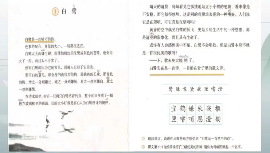 白鹭文学图标