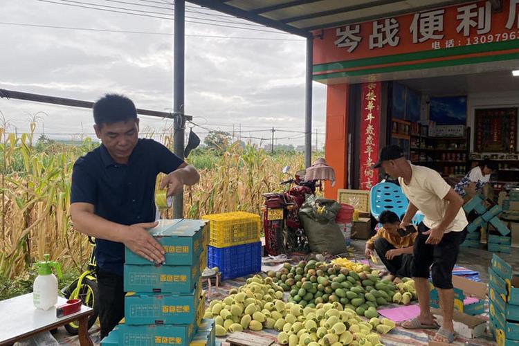 口袋果园玩法图标