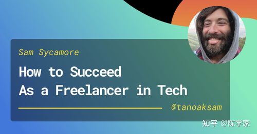 freelancer中文版下载