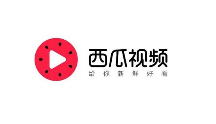 西瓜文化正版app图标