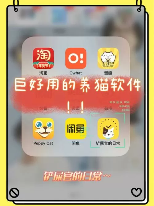 养猫联盟app下载