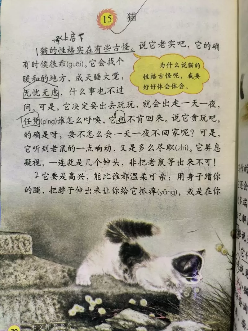 快搜猫电子书