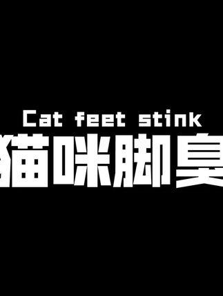 猫咪助手脚本