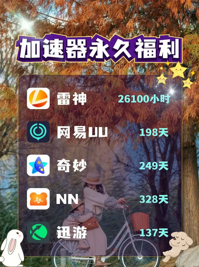 归雁加速器app