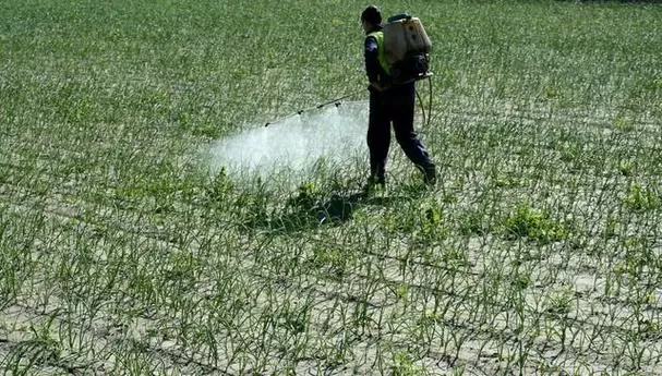 空气吸入式除草剂的危害