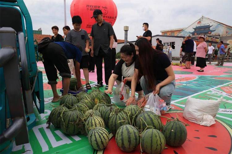 西瓜文化赚钱图标