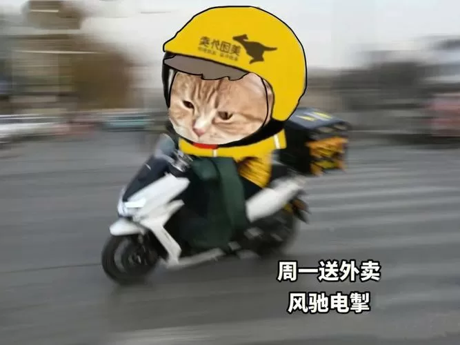 桔小猫赚钱版