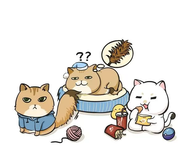 漫画猫app下载免费