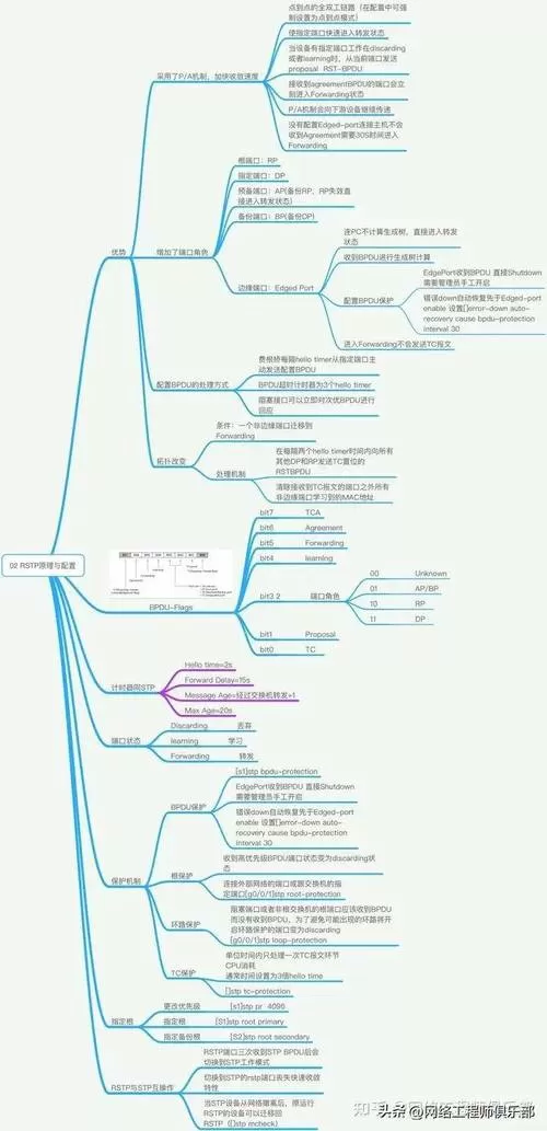 老王VNP2.2.21最新版官方版(老王加速器)