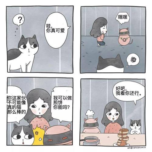 喵语漫画图标