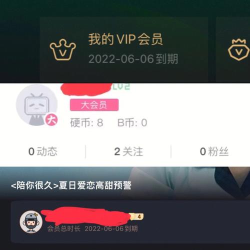 哔哩哔哩VIP完美破解