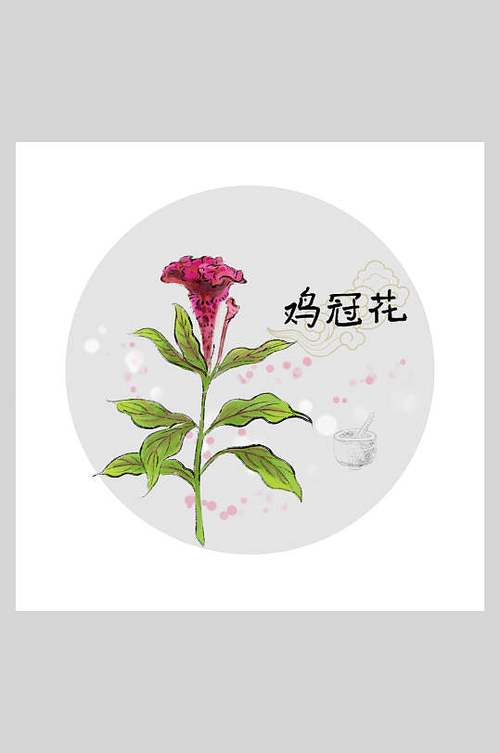 鸡冠花有什么药用价值