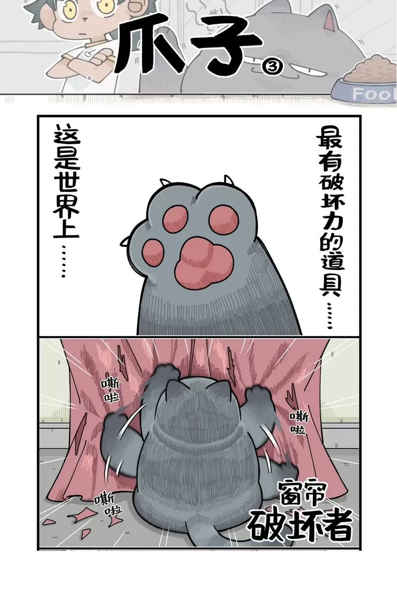 猫爪漫画完整版