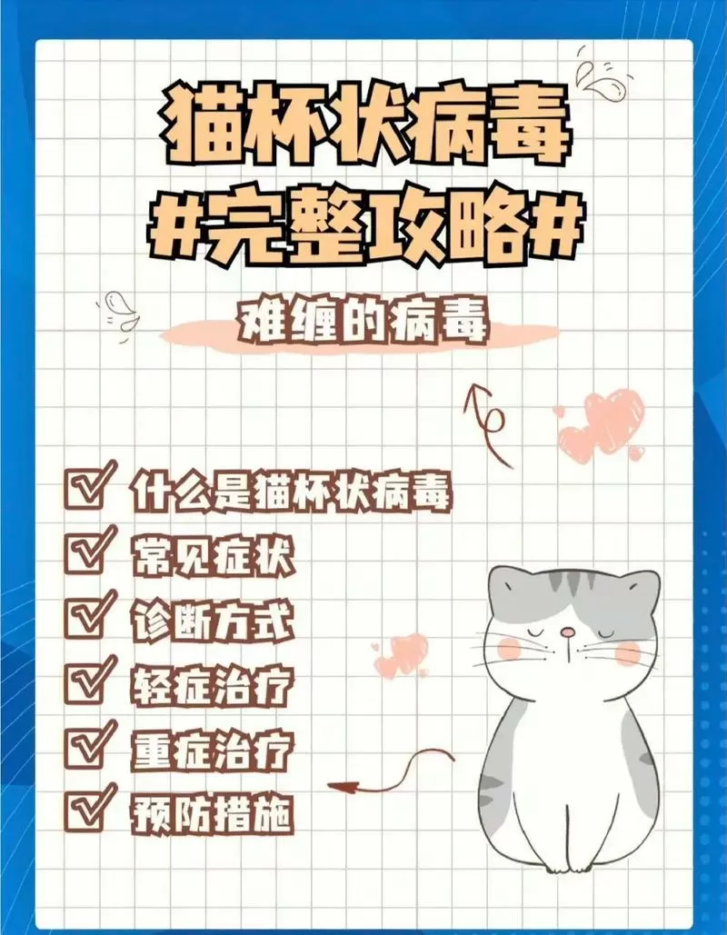 猫番阅读无病毒版图标